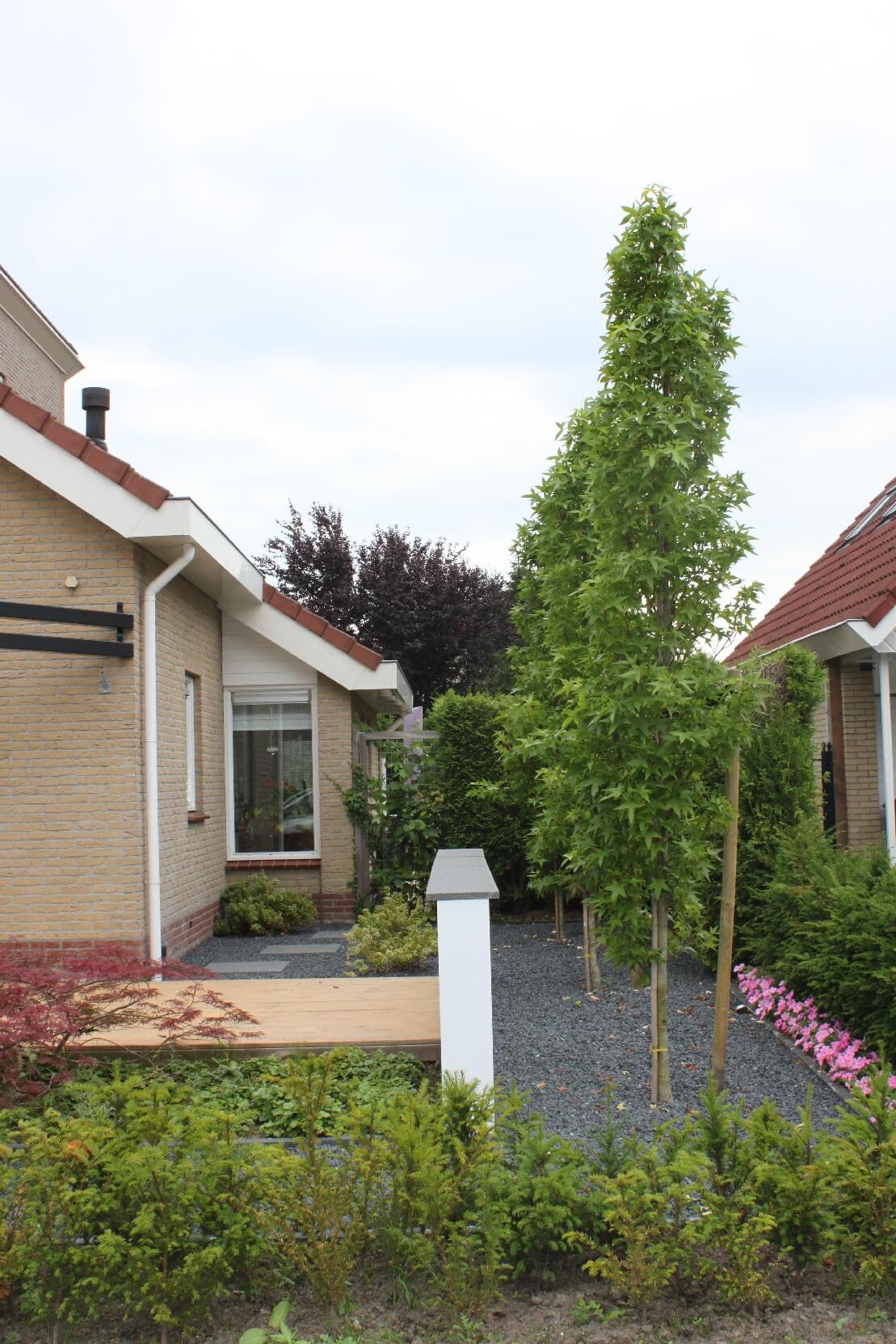 Moderne Voortuin met Pergola - Hooft Hoveniers